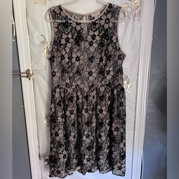 LOFT | Dresses | Beautiful Loft Lace Overlay Dress | Poshmark